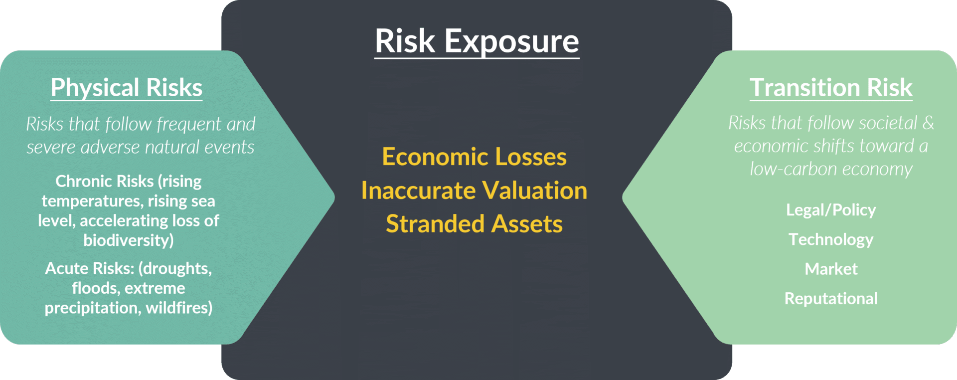 Integrating Climate Risk into Your ESG Program - Stok