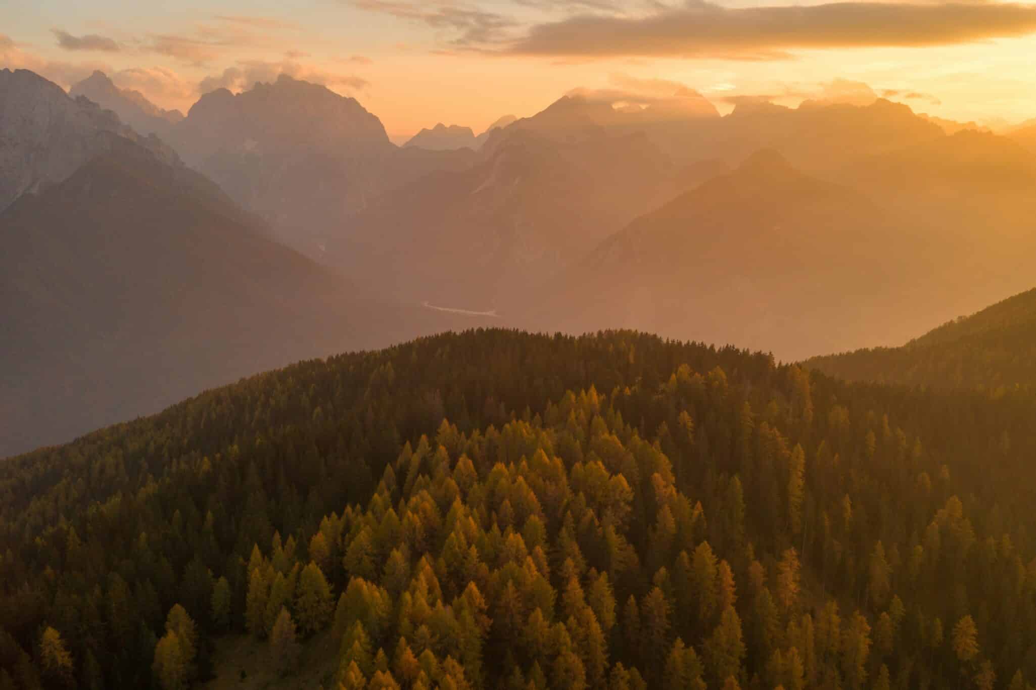 Decarbonize Now: Stok’s Science-Based Targets and Our Path to Net Zero ...